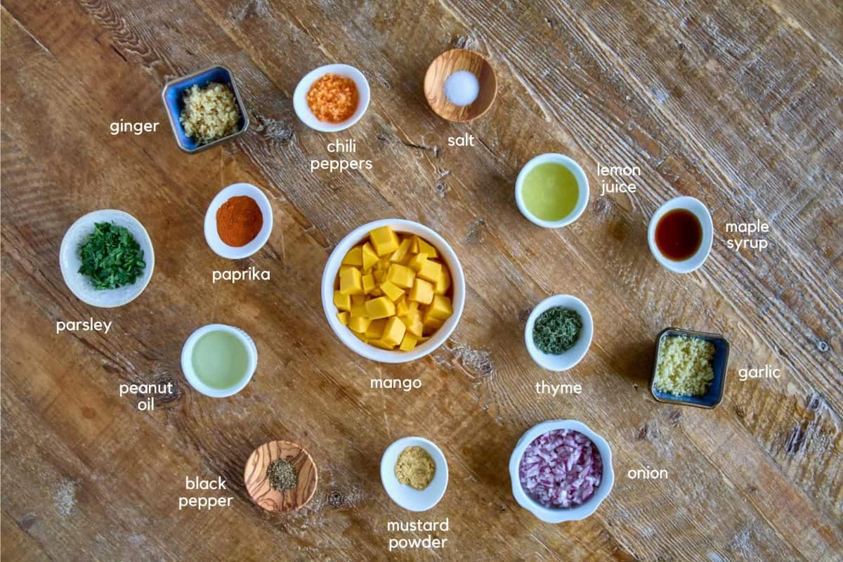 Tangy Mango Yassa Sauce (Vegan, Gluten-Free) • shovelandcrunch.com